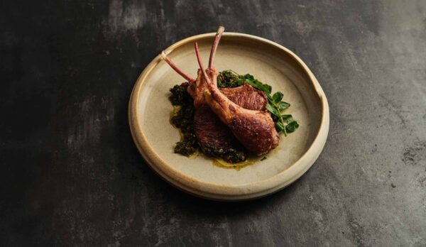 Our Products - WAMMCO