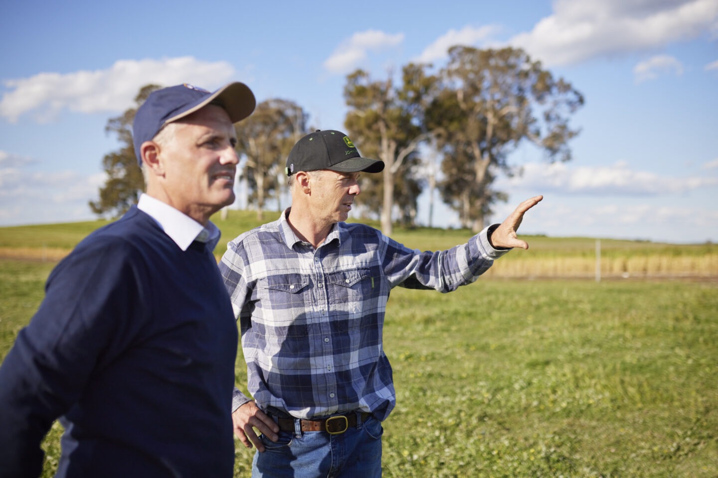 WAMMCO to return $6.1 million to loyal WA producer members - WAMMCO